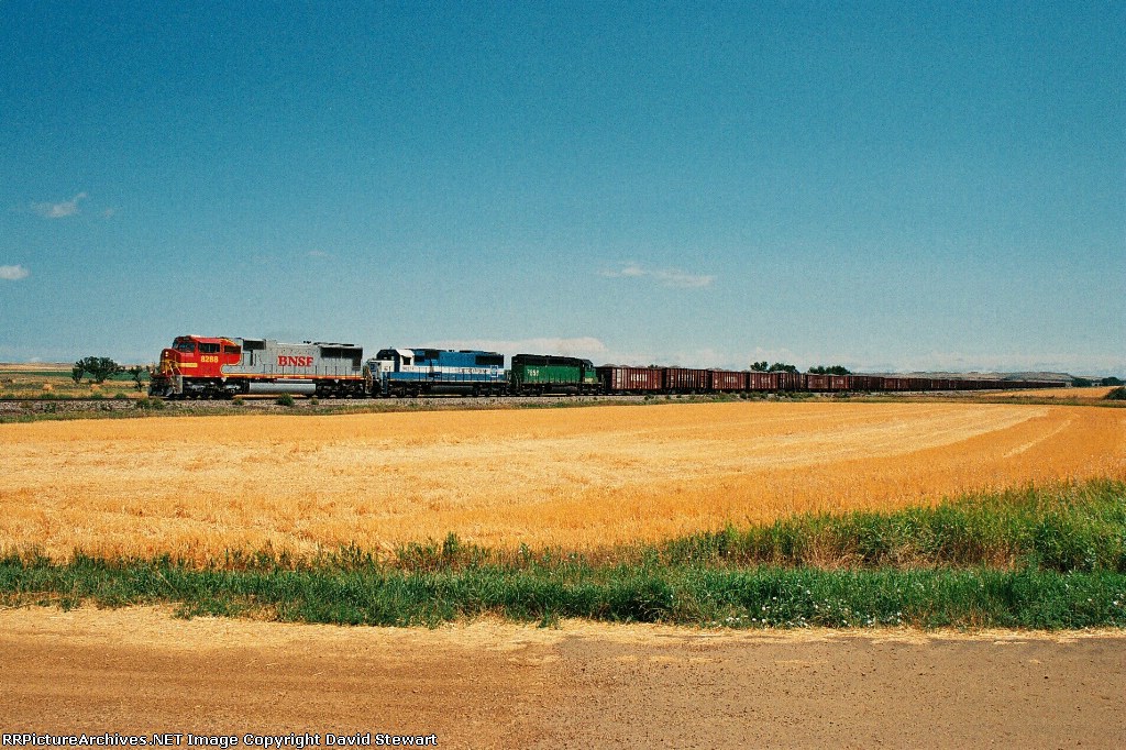 BNSF 8288 West